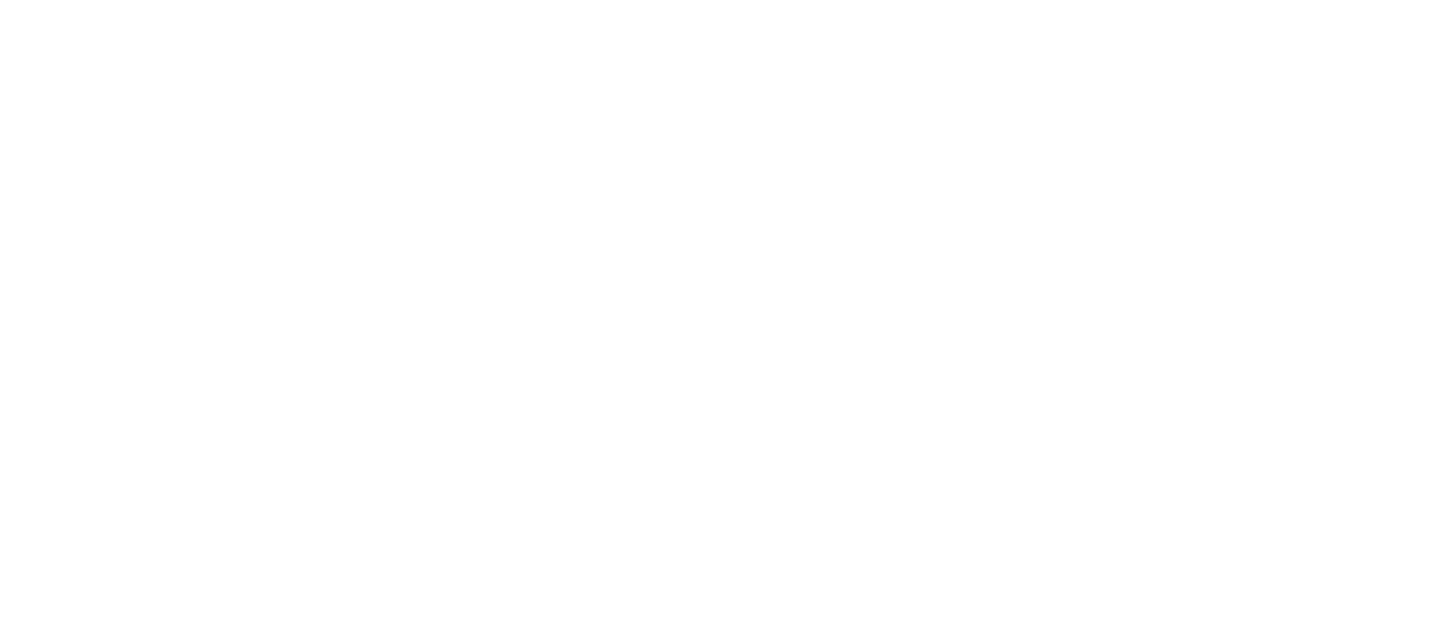 Network International Cargo - Global Logistics Solutions
